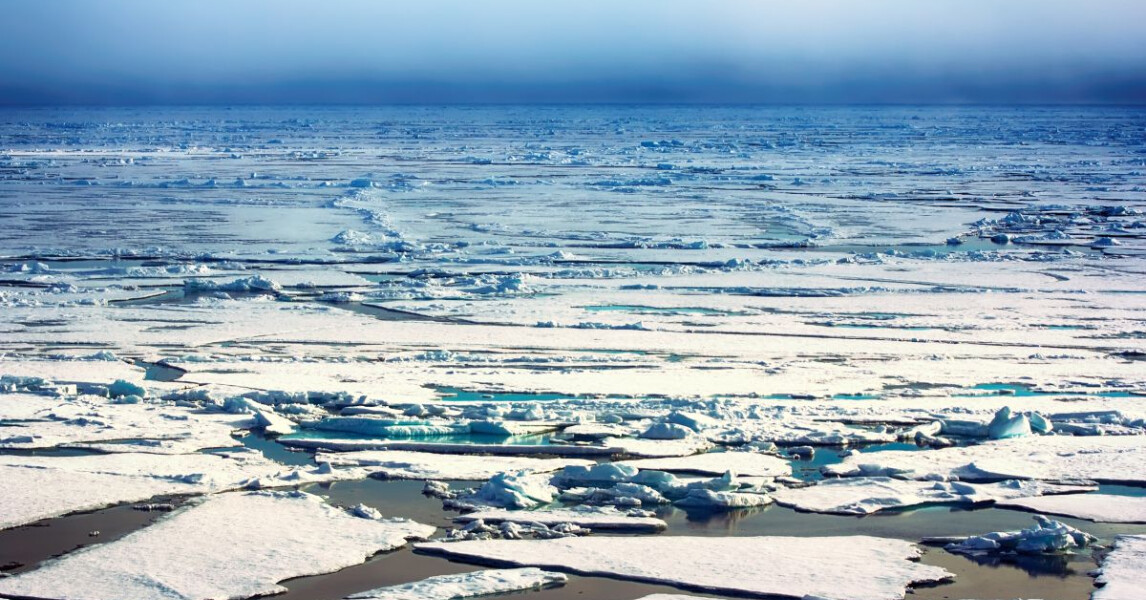 Die fünf beliebtesten Arktis-Expeditionsziele und Ihre Unterschiede ...