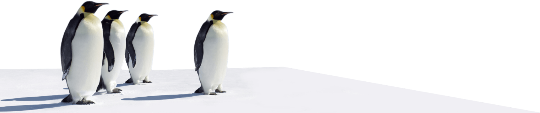 Erik der Rote – Die Entdeckung und Besiedlung Grönlands durch einen ...